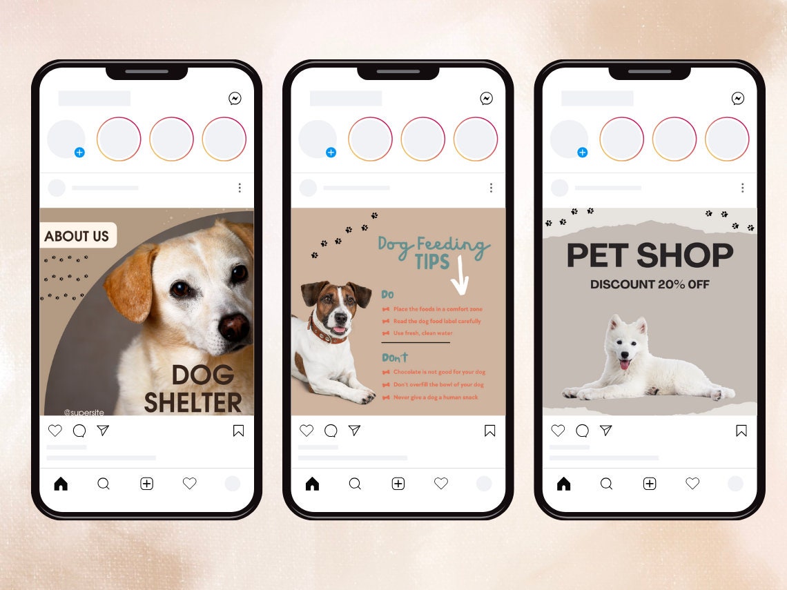 Pet Lovers Instagram Post Templates Perfect for Pet Blogs & Vets Social ...