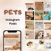 Pet Lovers Instagram Post Templates Perfect for Pet Blogs & Vets Social ...
