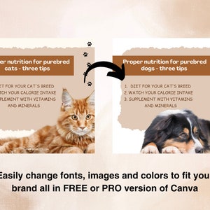 Pet Lovers Instagram Post Templates Perfect for Pet Blogs & Vets Social ...