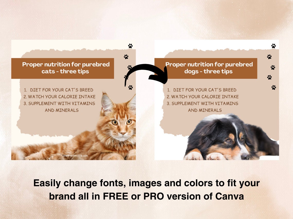 Pet Lovers Instagram Post Templates Perfect for Pet Blogs & Vets Social ...