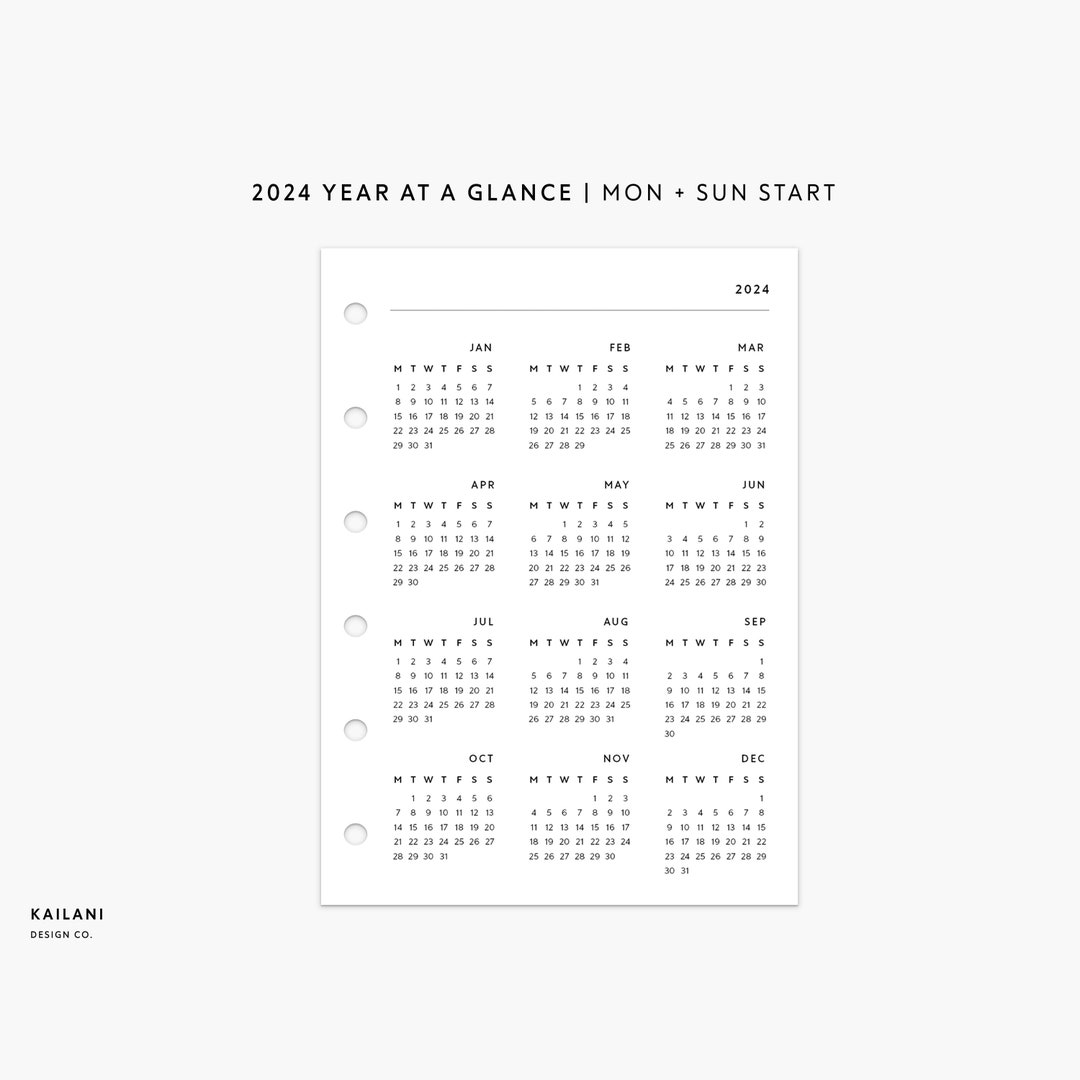 Pocket Insert 2024 Calendar, 2024 Year at A Glance, Year on 1 Page ...