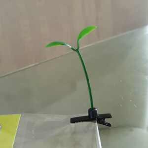 Pair of Sprout Clips - Etsy