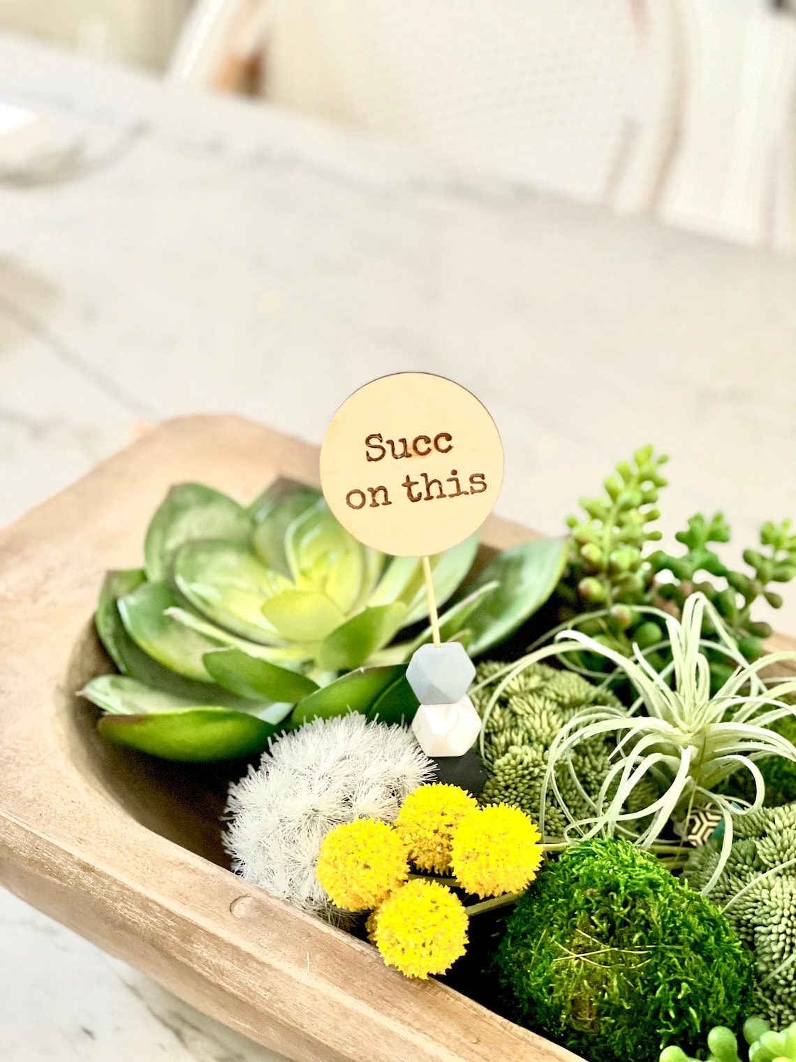 Funny Plant Pun Signs for the Plant Lover Plant Decor | Etsy