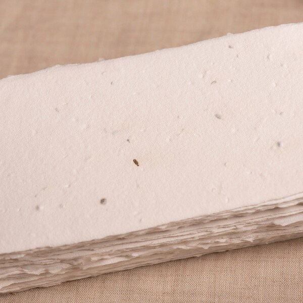 Seed Paper - Etsy