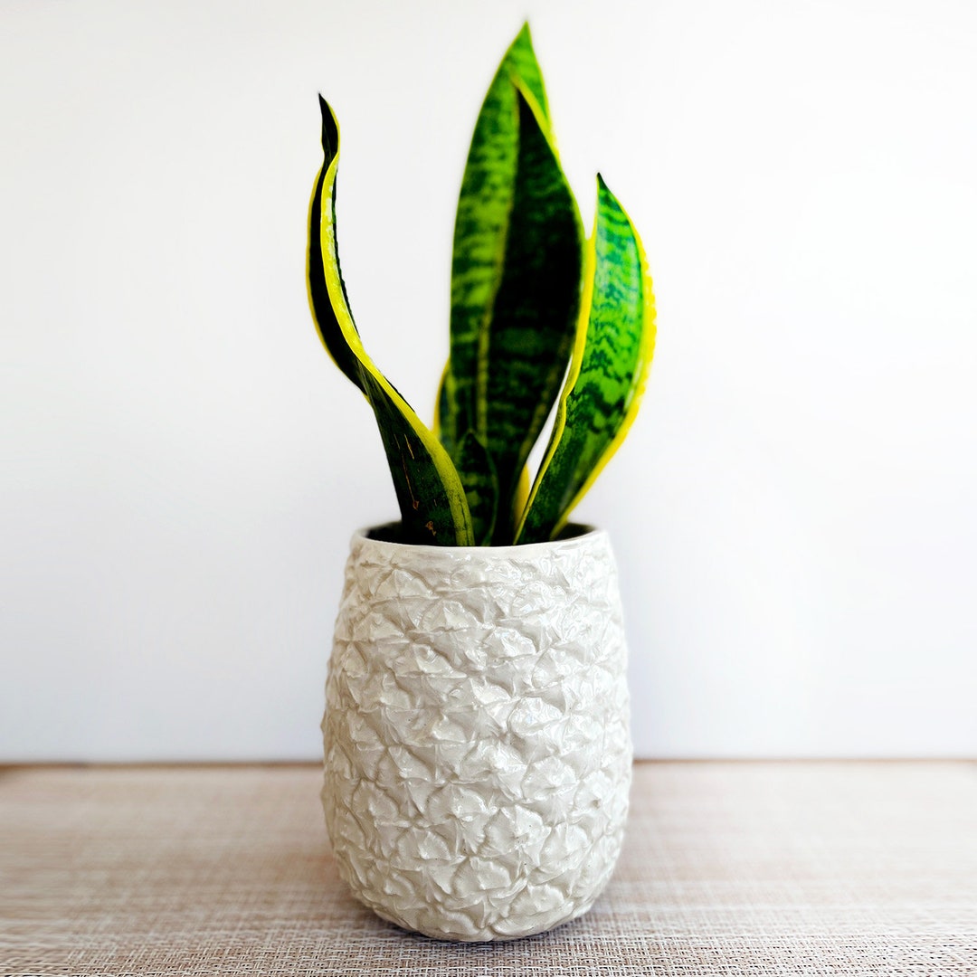 Ceramic Pineapple, Large - Etsy