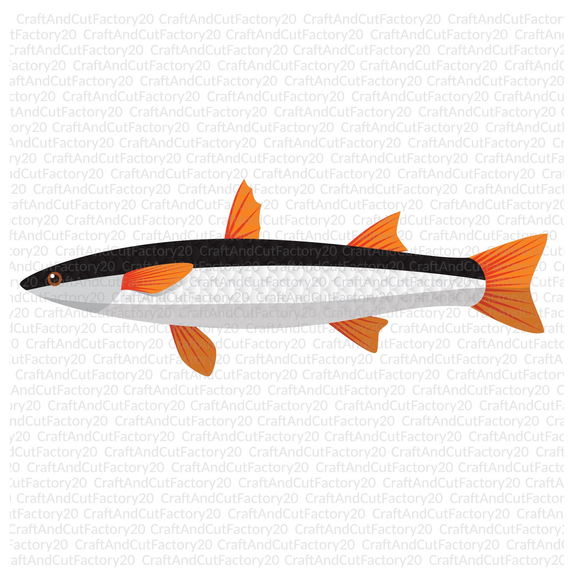Funny Fish Clipart, Funny Fish PNG, Fish Graphics , Fish Illustration ...