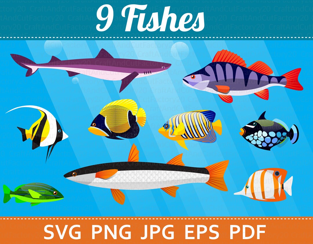 Funny Fish Clipart, Funny Fish PNG, Fish Graphics , Fish Illustration ...