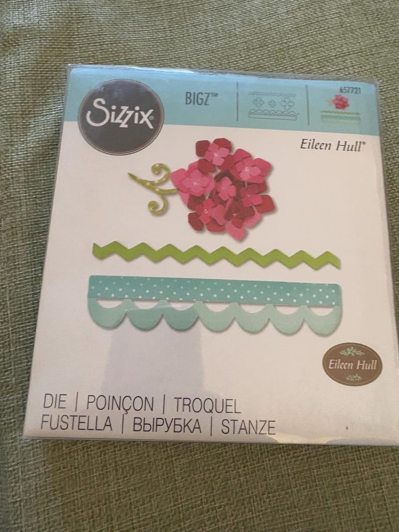 Sizzix Bigz Eileen Hull Die Borders Hydrangeas 657721 Retired Original Box - Etsy