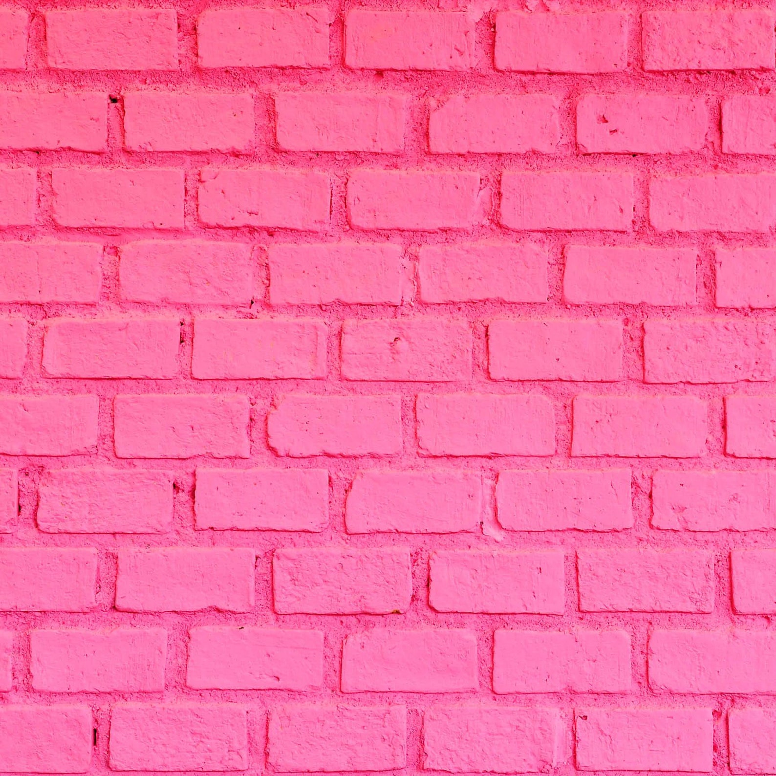Hot Pink Brick Rigid Photography Backdrop Flat Lay Photo - Etsy