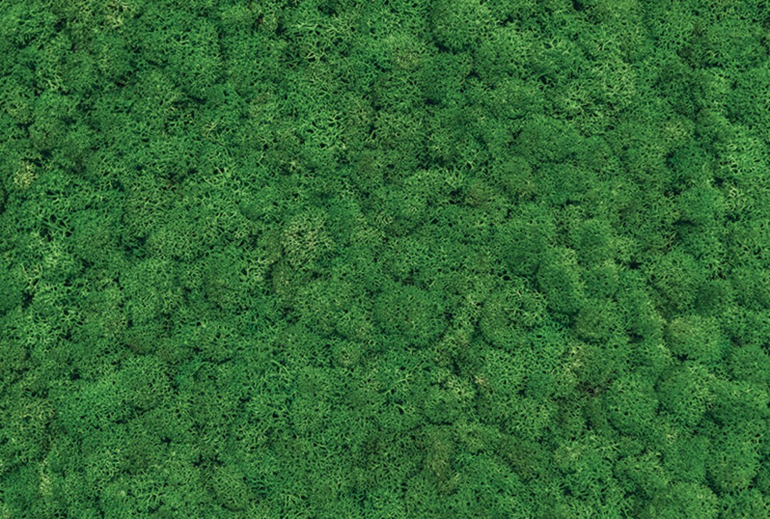 Moss Rigid Photography Backdrop Flat Lay Photo Surface Product ...