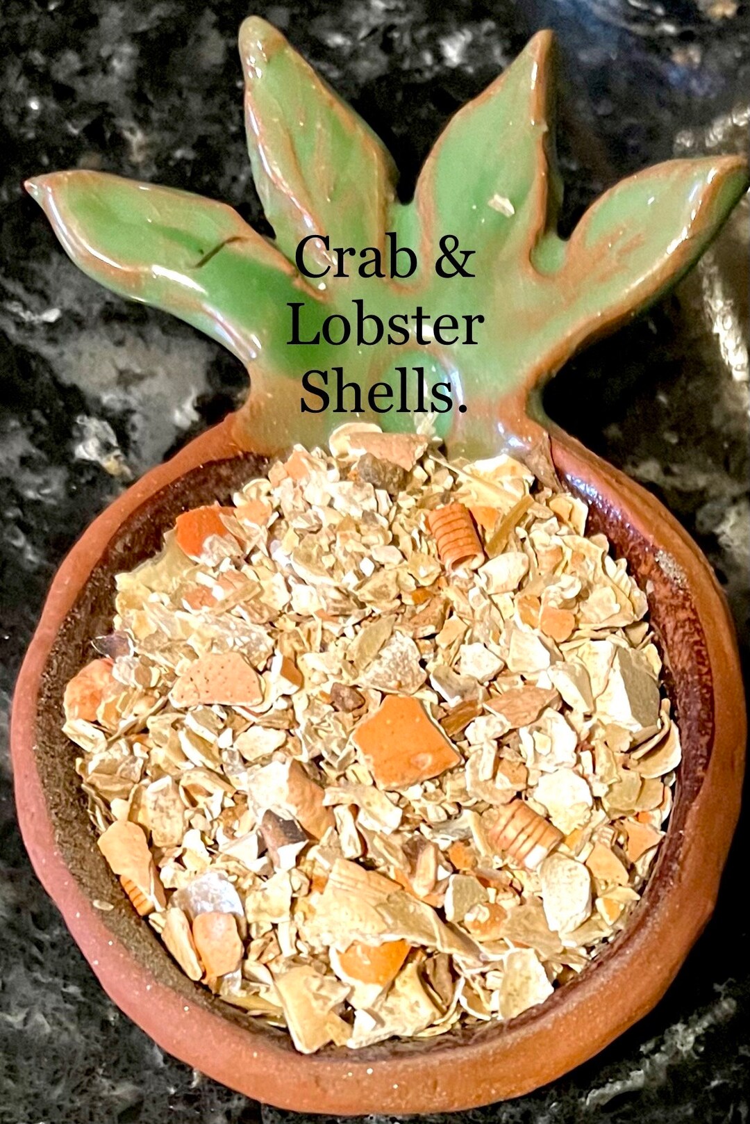 Crab & Lobster Shell Exoskeleton Mix ziploc Bags - Etsy