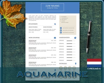 Professional Resume Template CV Template Instant Download - Etsy