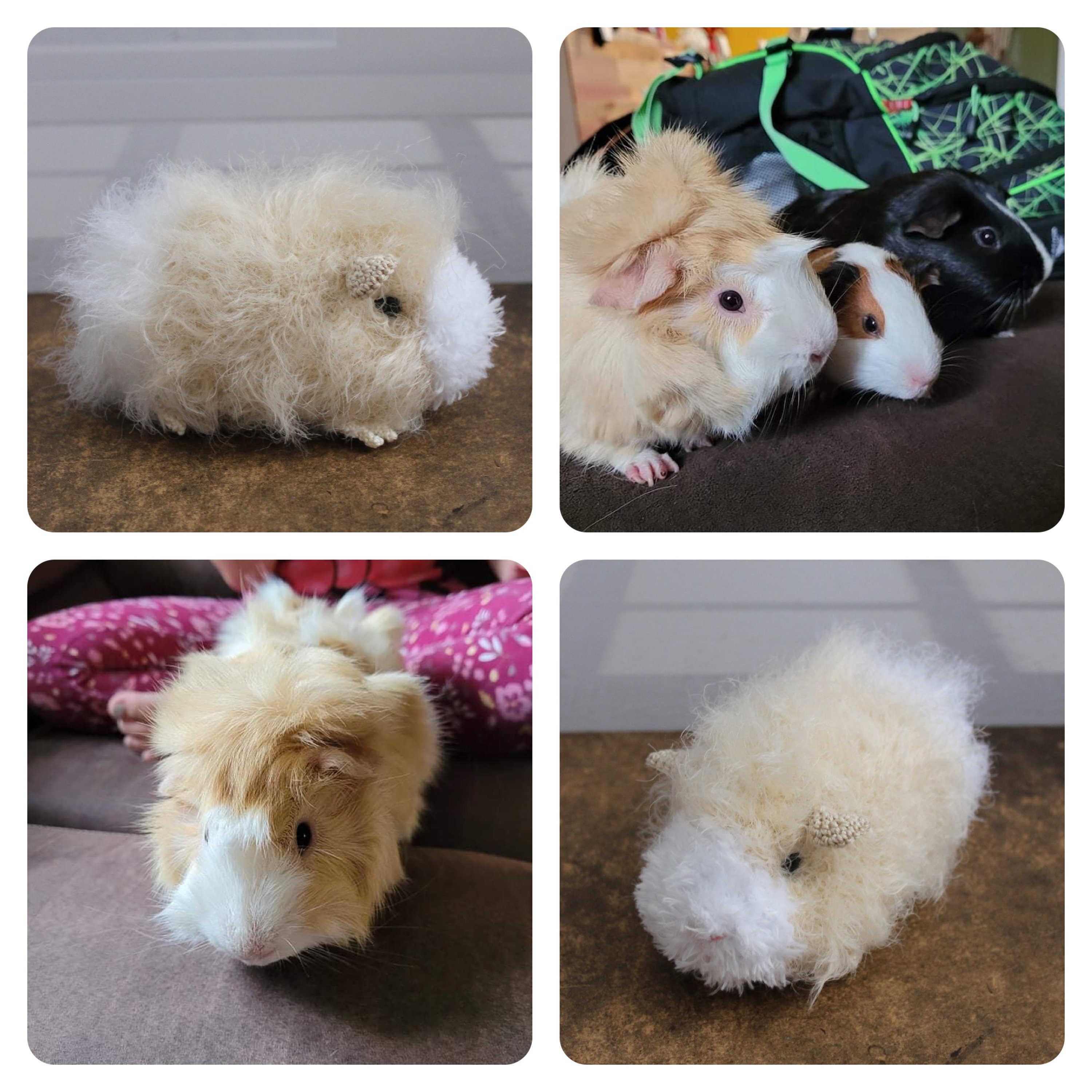 Custom and Personalized Guinea Pig and Another Small Animals (rabbit ...