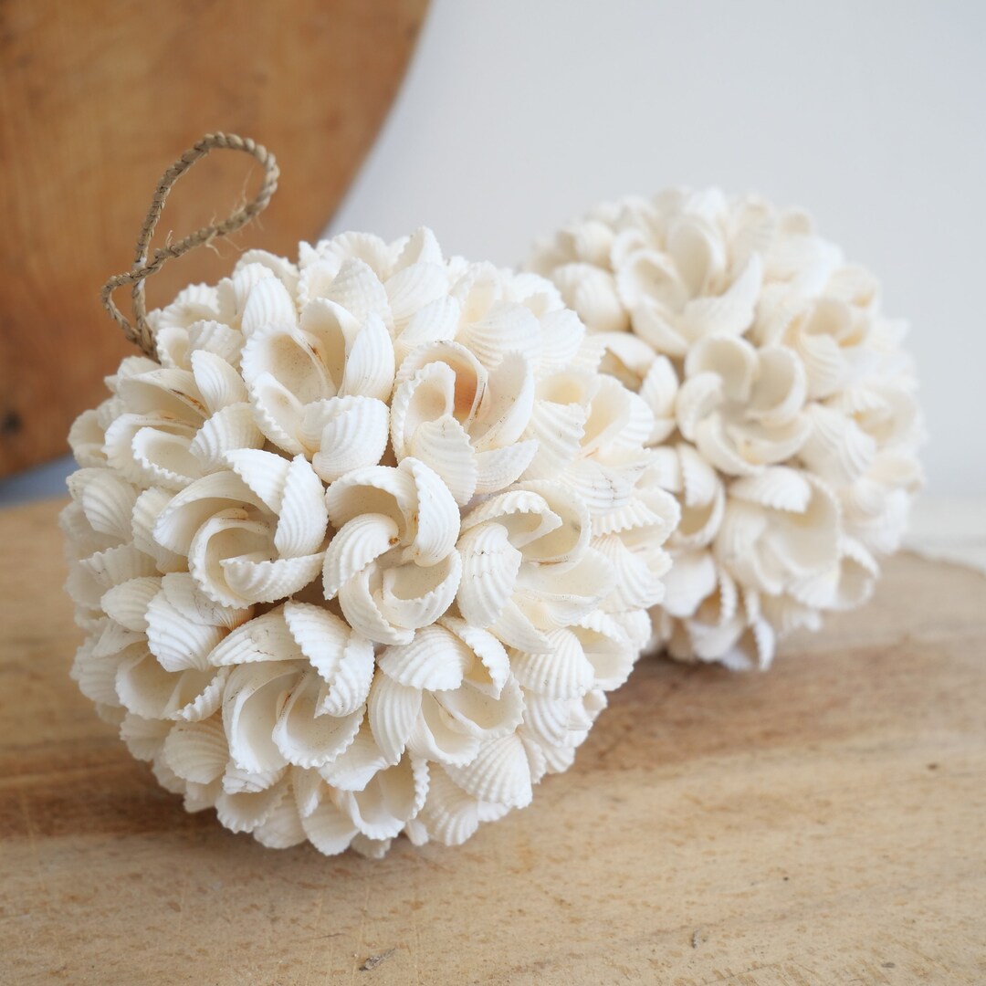 Shell Ball Bowl Filler With Cord Handmade in Indonesia - Etsy