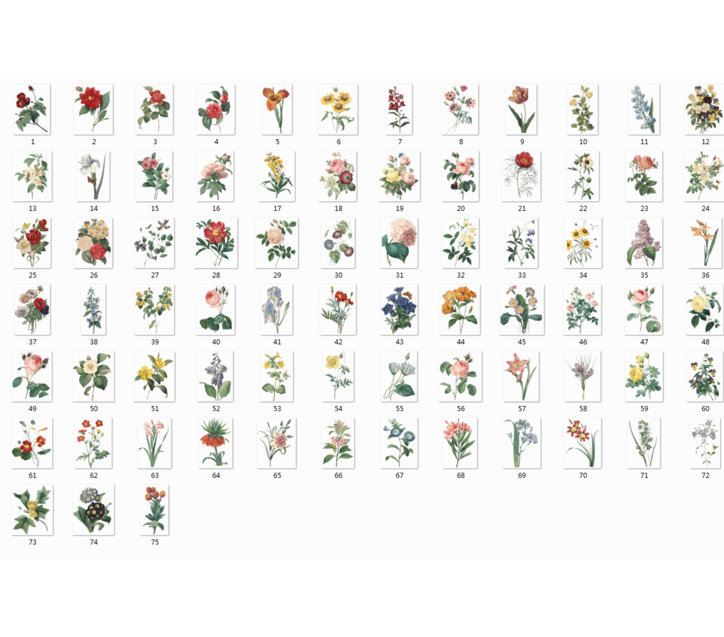 Vintage Flower Clipart Bundle, Vintage Flower Elements, Vintage Flower ...