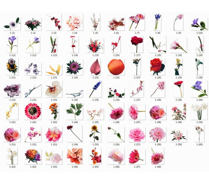 Vintage Flower Clipart Bundle, Vintage Flower Elements, Vintage Flower ...