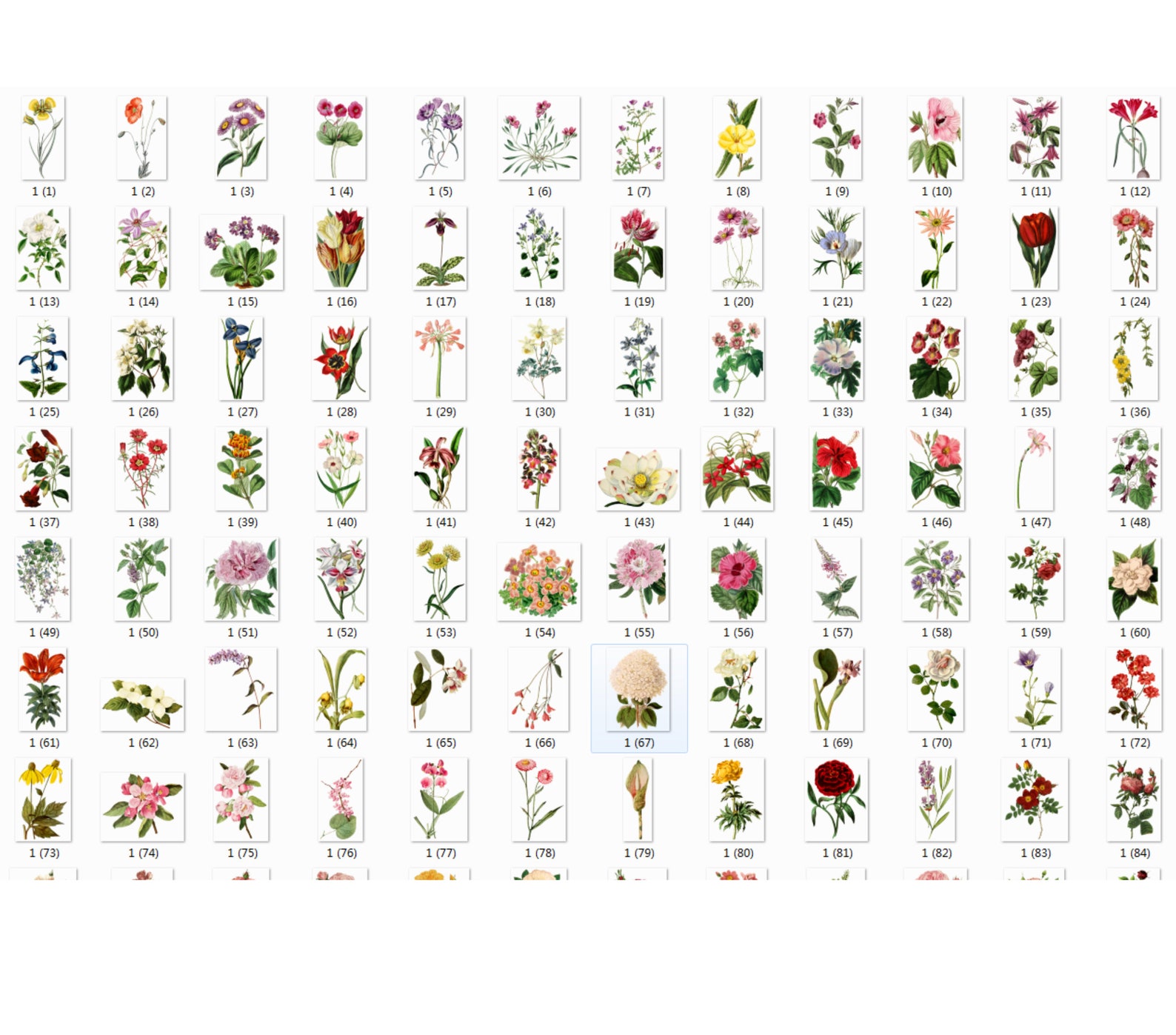 Vintage Flower Clipart Bundle, Vintage Flower Elements, Vintage Flower ...