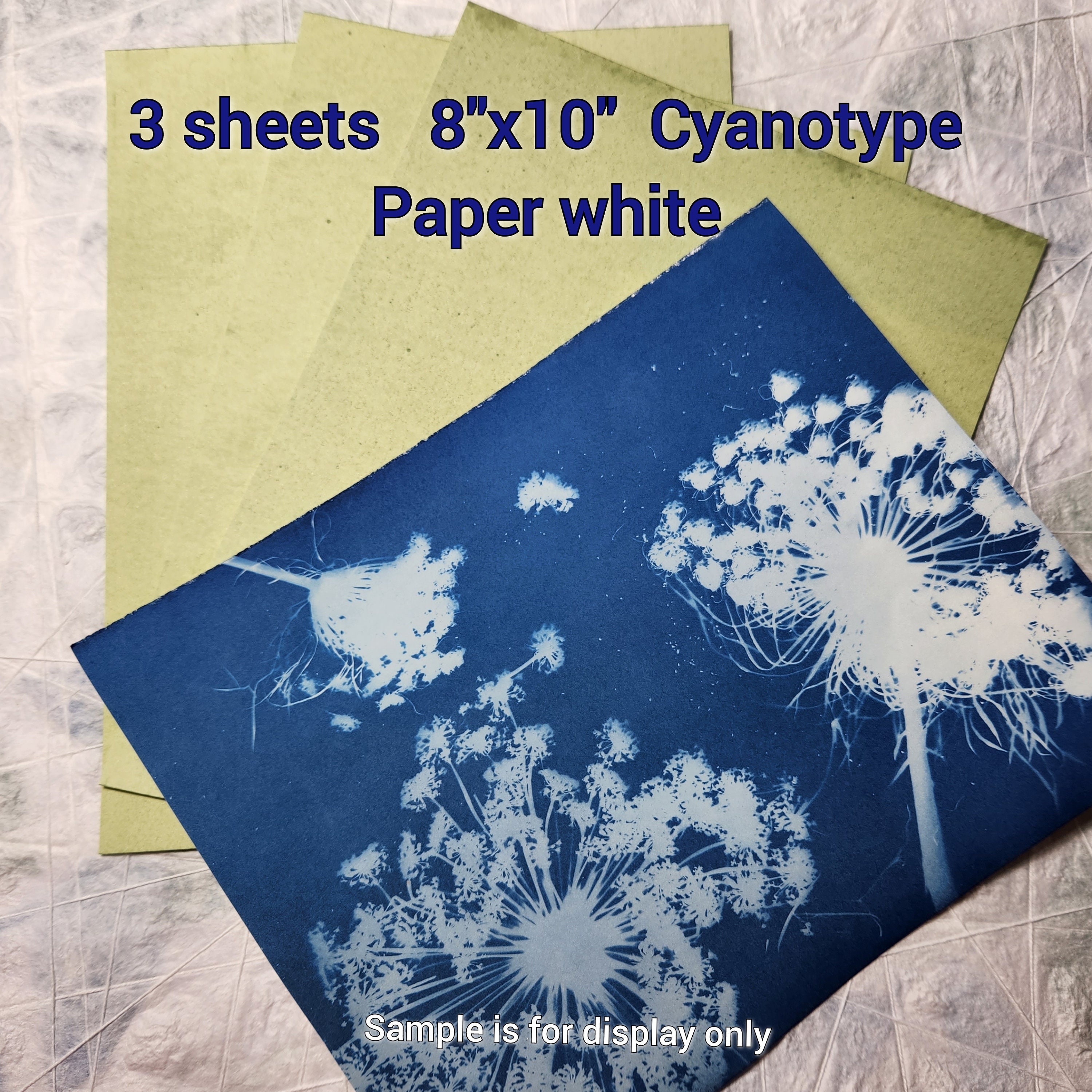 Cyanotype Deluxe Sun Printing Kit - Etsy