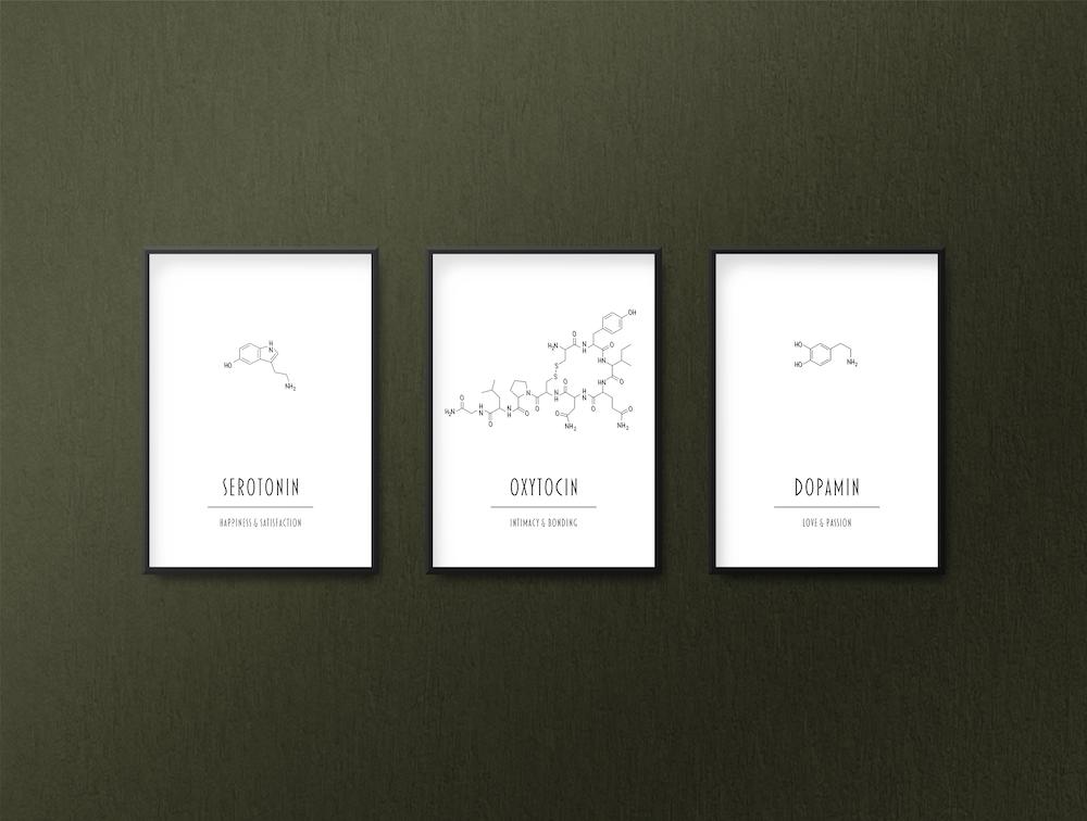 Minimalist Molecule Poster Set of 3 | Serotonin Oxytocin Dopamine | Art ...