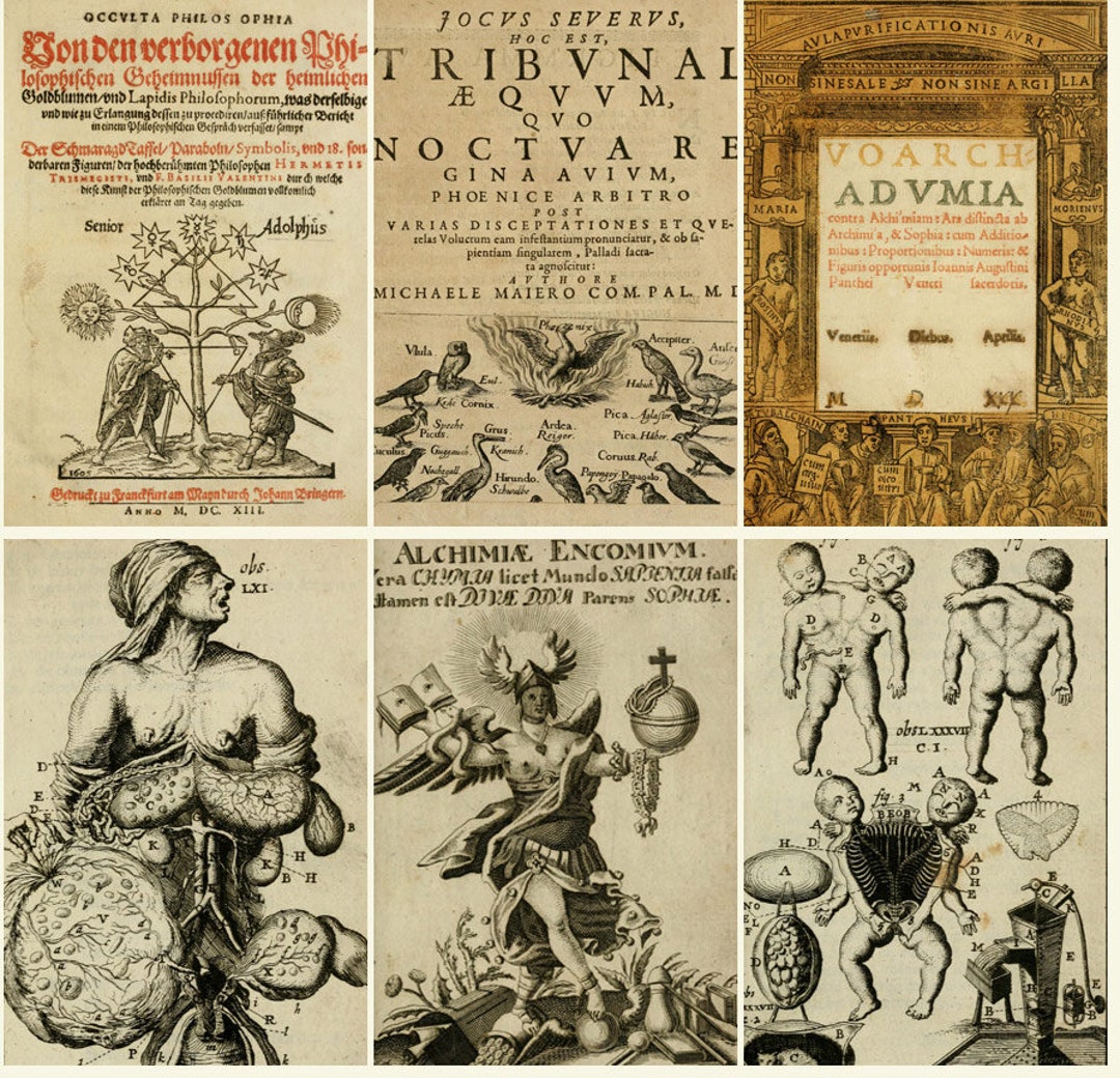 27 Rare Old Books of ALCHEMY Michael Maier Christian Rosenkreuz Hermes ...