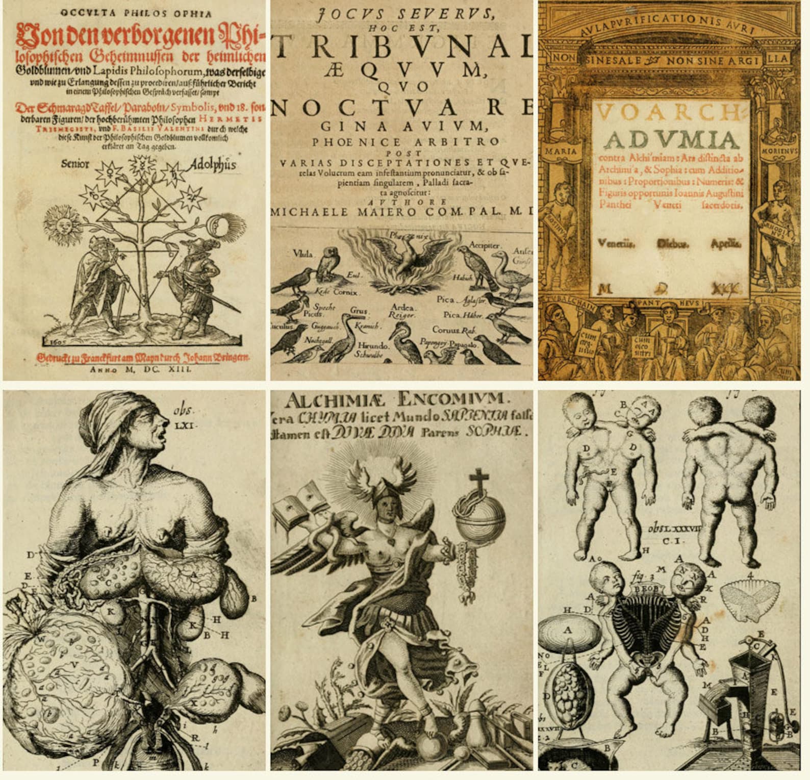 27 Rare Old Books of ALCHEMY Michael Maier Christian Rosenkreuz Hermes ...