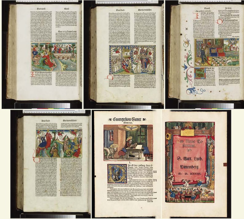 Rare Illustrated German Bibles Collection – Luther 1534 (digital ...