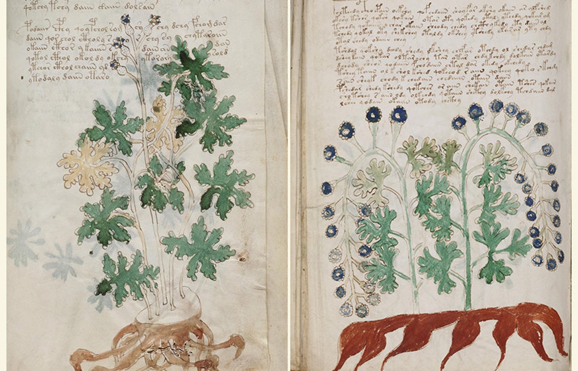The Voynich Manuscript Plus Polygraphia - Steganographia - Trithemius ...