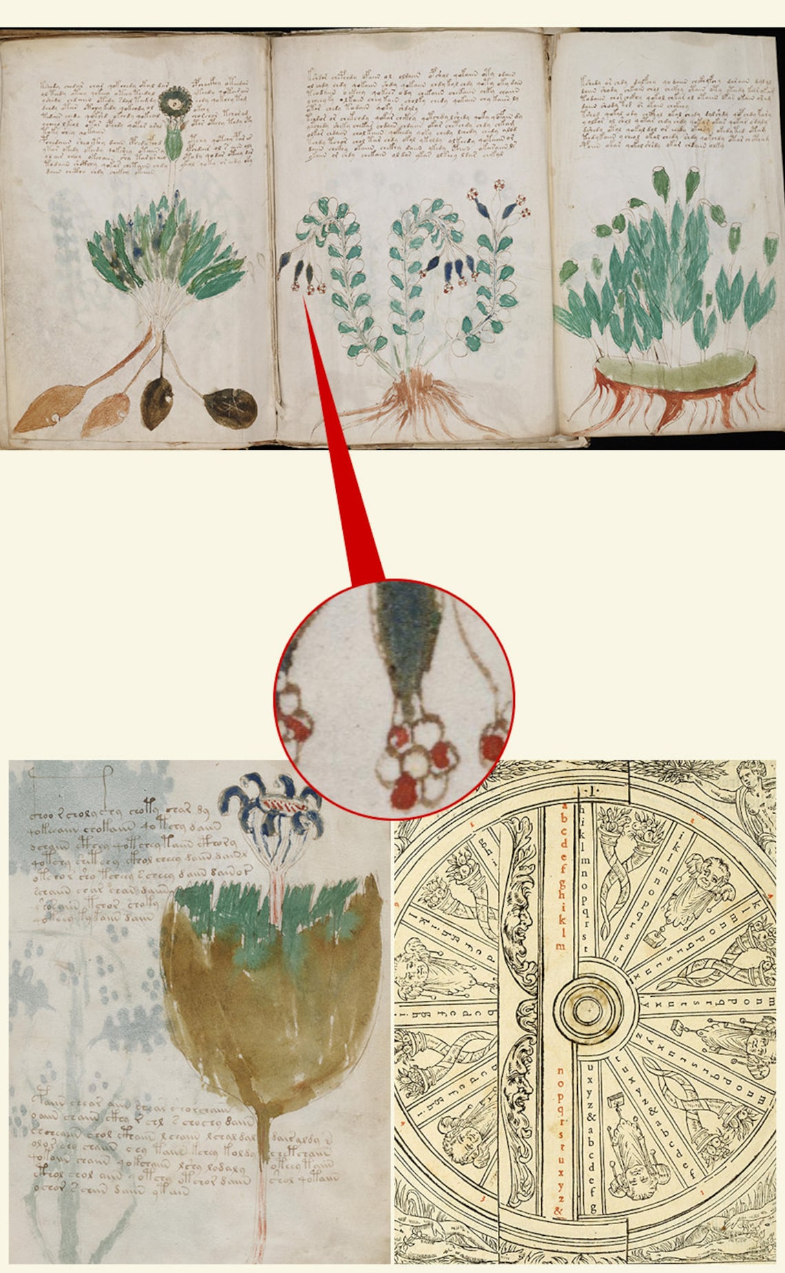 The Voynich Manuscript Plus Polygraphia - Steganographia - Trithemius ...