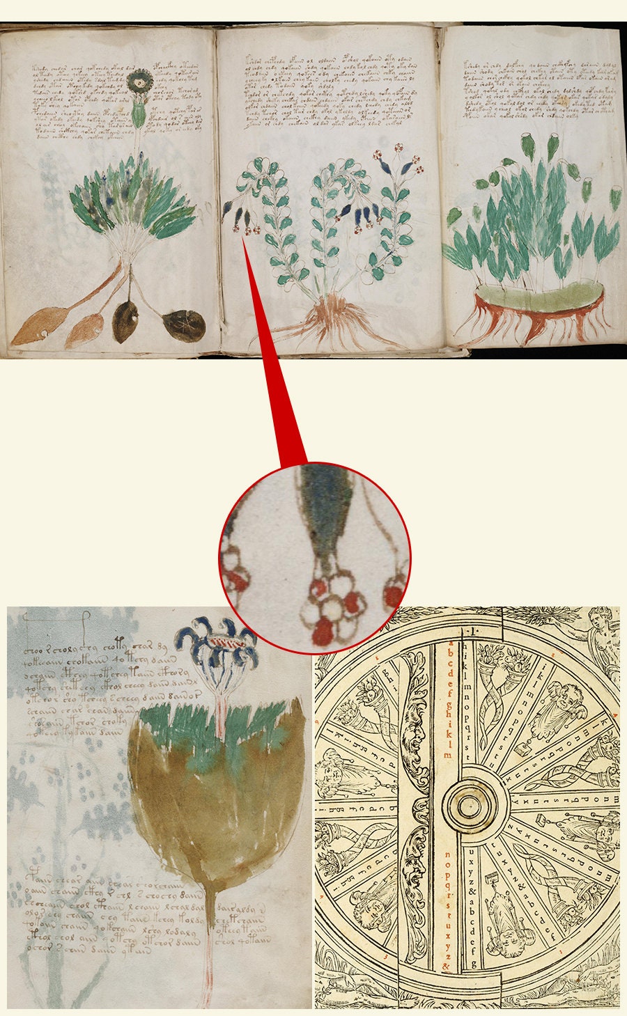 The Voynich Manuscript Plus Polygraphia - Steganographia - Trithemius ...