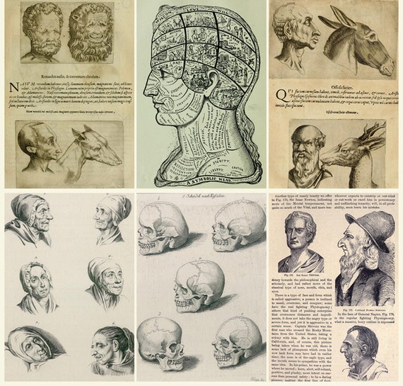 Fisonomía Frenología Leer rostro humano Lavater G. - Etsy España