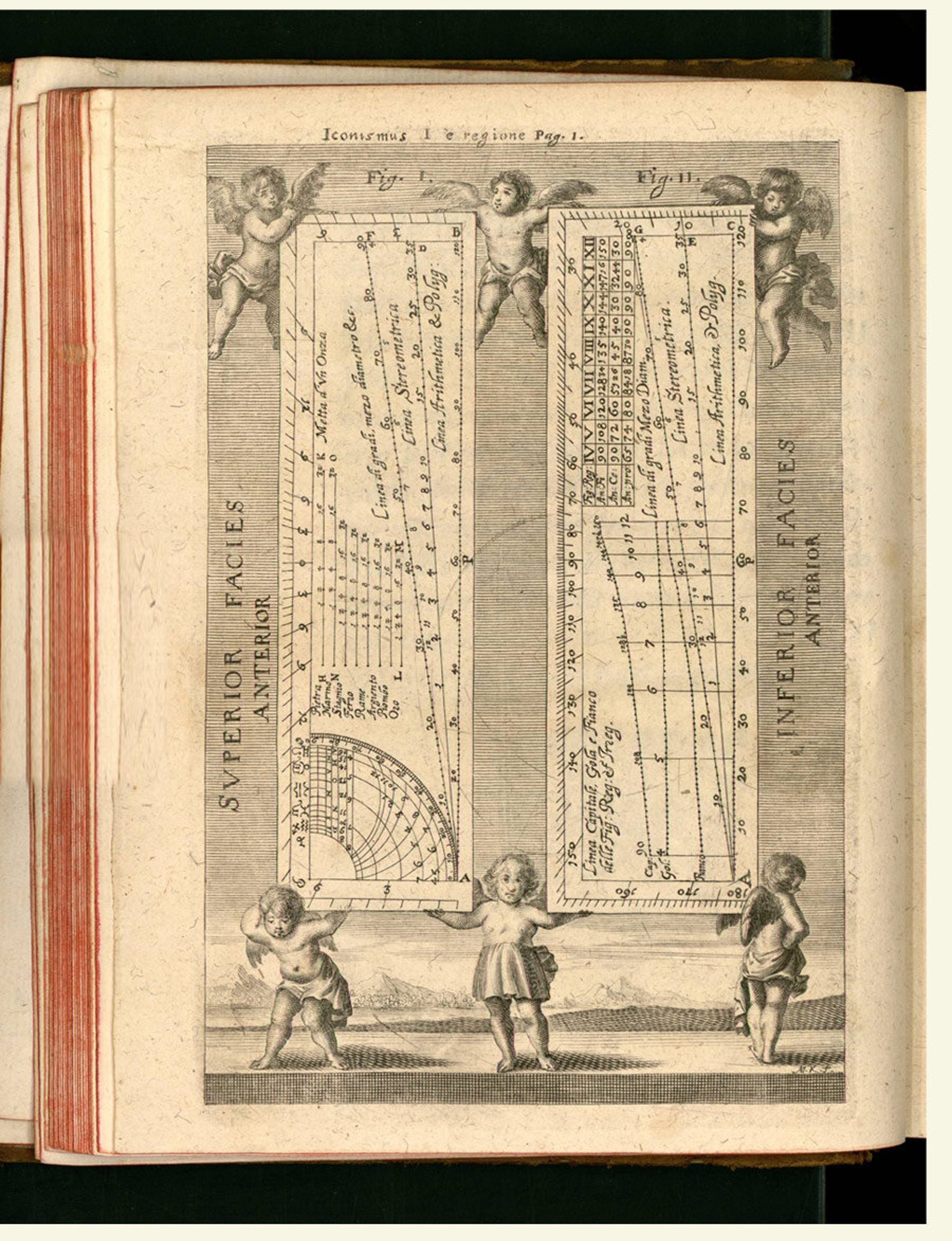 Rare Antique MATHEMATICS Books Collection - Isaac Newton -mathesis ...