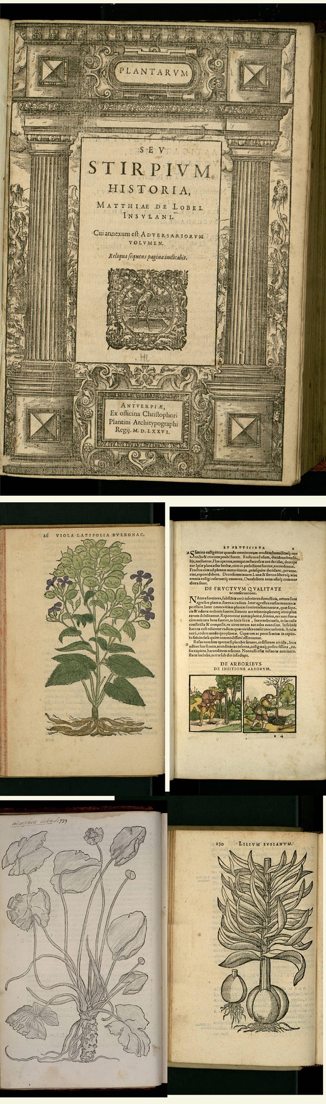 16th Century Botanical Books - Botany, Herbs Rembert Dodoens Adam ...