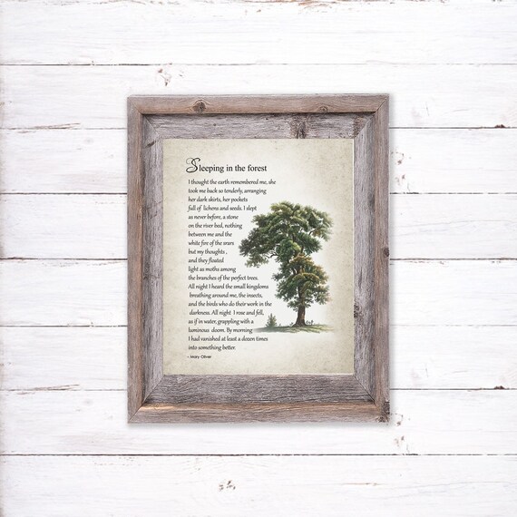 Mary Oliver Poem Sleeping in the Forest Nature Lover Gift | Etsy