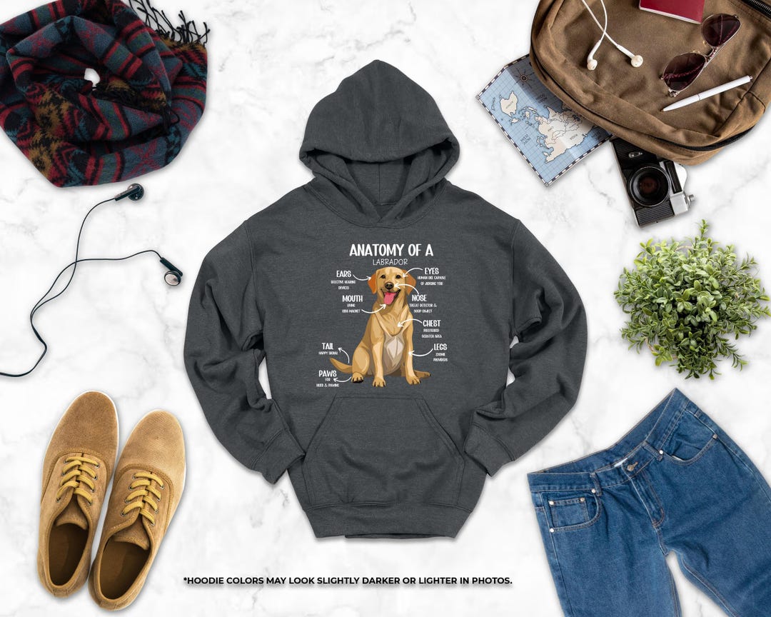 Anatomy of Labrador Hoodie, Dog Mom Hoodie, Labrador Lover Gift ...
