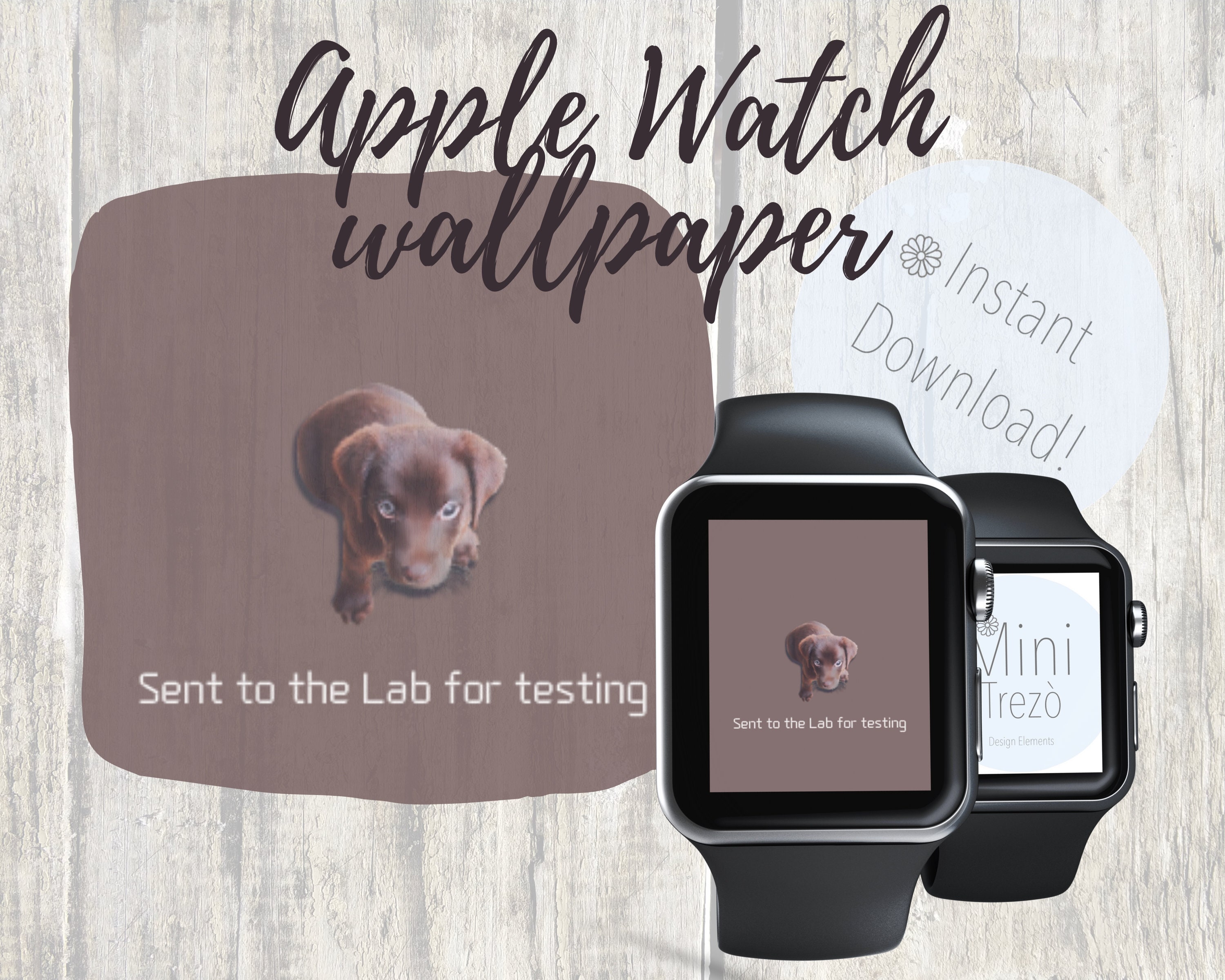Labrador Dog Apple Watch Wallpaper Screensaver 38-42mm Instant Download ...