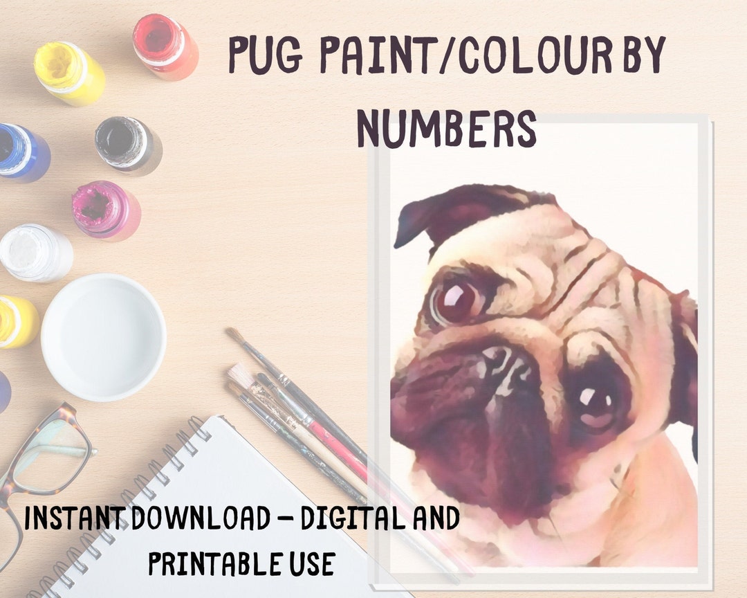 Pug Colour / Paint by Numbers - Digital (procreate) and Printable Use ...