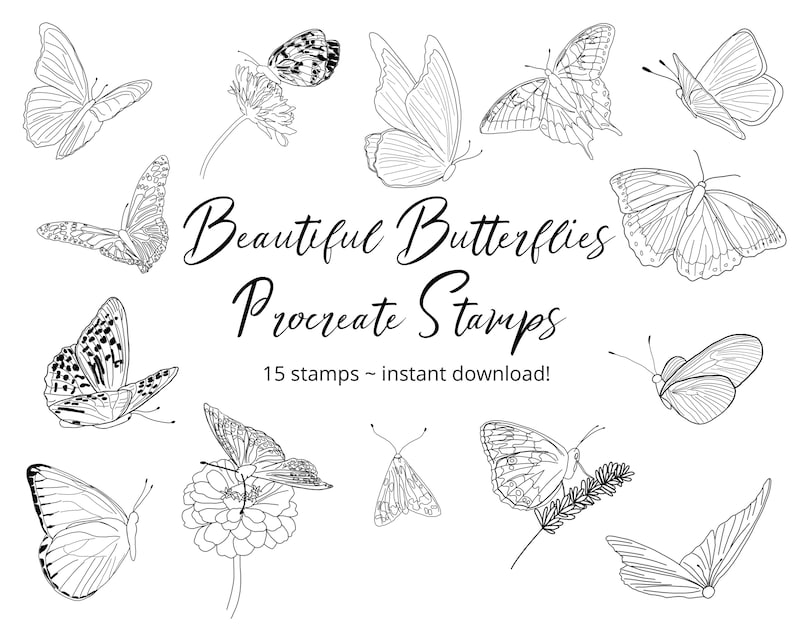 Beautiful Butterflies Procreate Hand Drawn Stamp Brush Set - 15 X ...