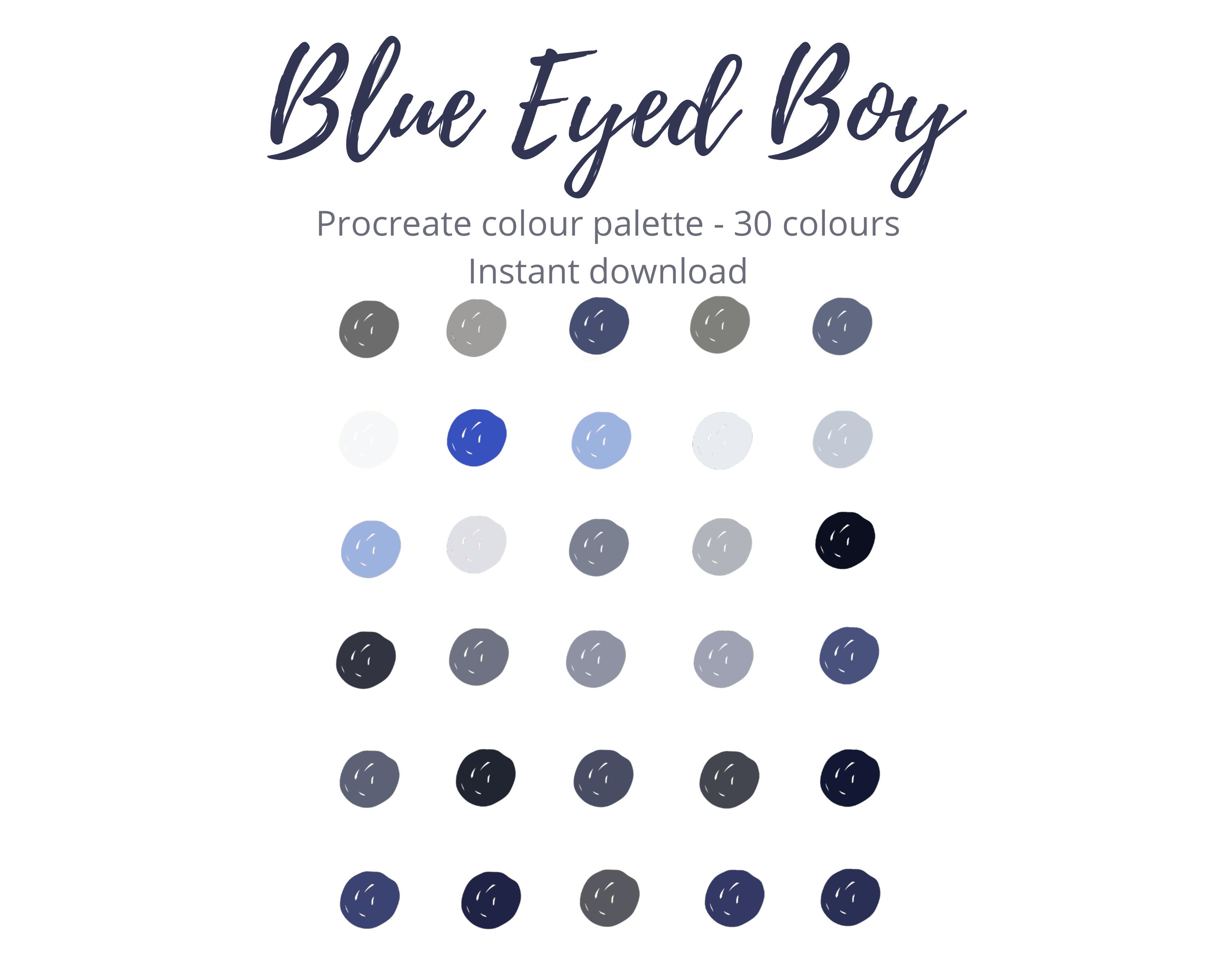 Blue Eyed Boy - Procreate Colour Palette / Swatch - 30 X Colours ...