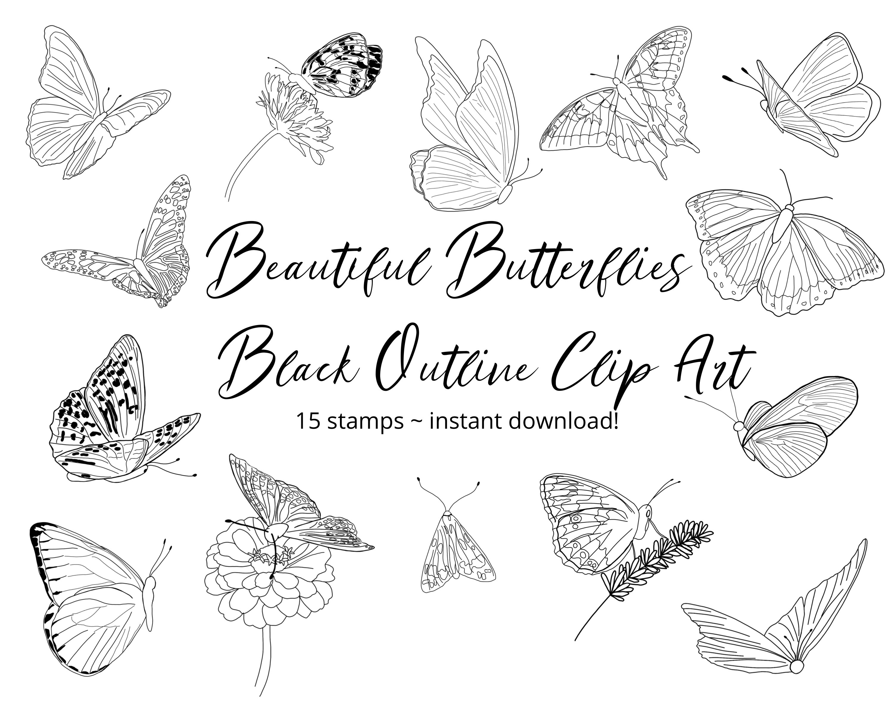 Beautiful Butterflies Black Line Art Hand Drawn Clip Art Illustration ...