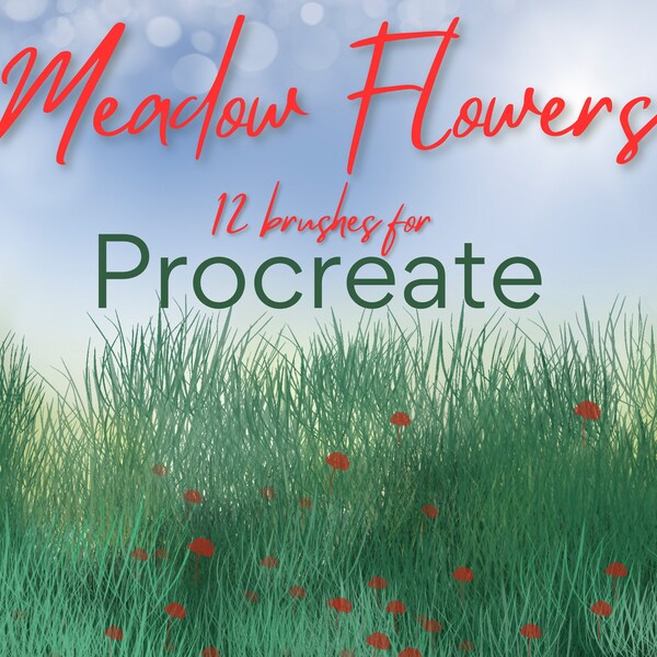 INBETWEENERS Hand Drawn Clip Art Illustration Design Elements 14 X PNG ...