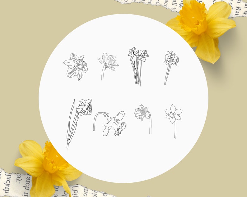 Daffodil Stamps X 8 for Procreate - Includes Colouring Brush- Instant ...
