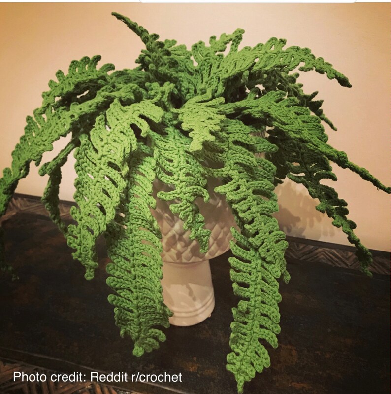 Vintage Fern Crochet Pattern Life Like Hanging Potted House Plant ...