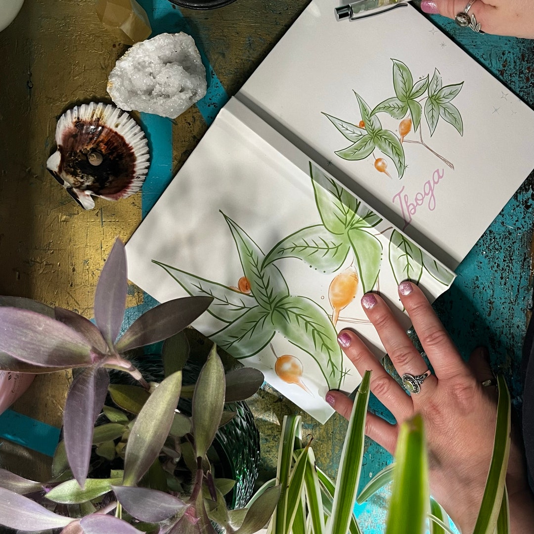 Iboga Tree Botanical Illustration Notebook - Etsy
