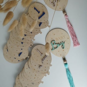 Baby Balloon Milestone Cards Wooden Milestone Discs Newborn Photography ...