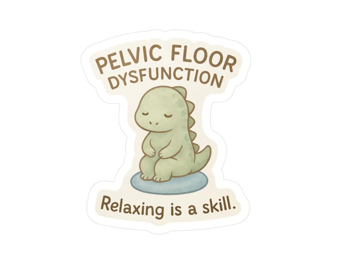 Clear Vinyl Sticker Pelvic Floor Anatomy Sticker for OBGYN Sticker for ...