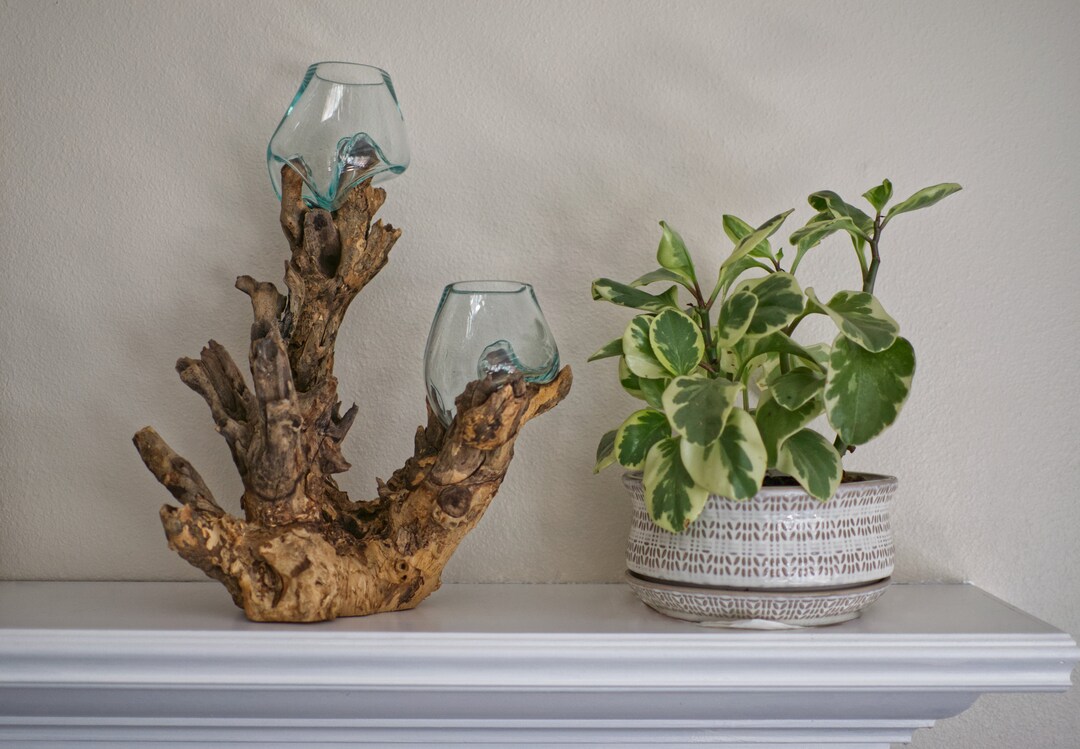Double Molten Glass Vessels on Gamal Wood Frame - Etsy
