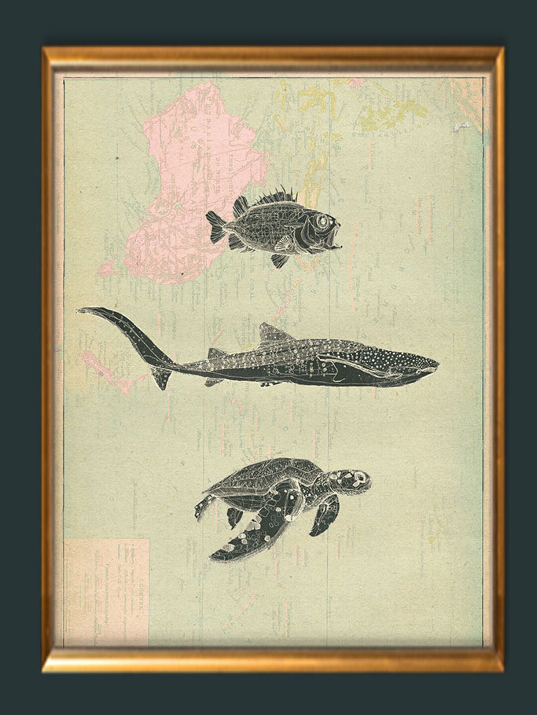 Art Print sea Animal Love - Etsy