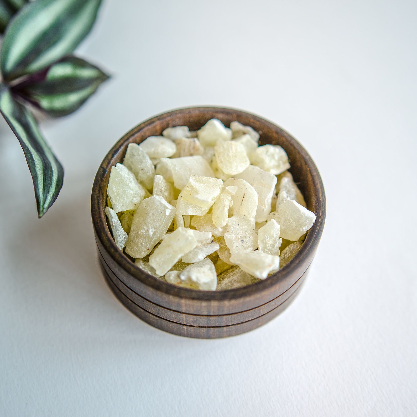 Premium White Copal Resin 1 2 3 or 8 Oz Sacred Mayan Raw | Etsy