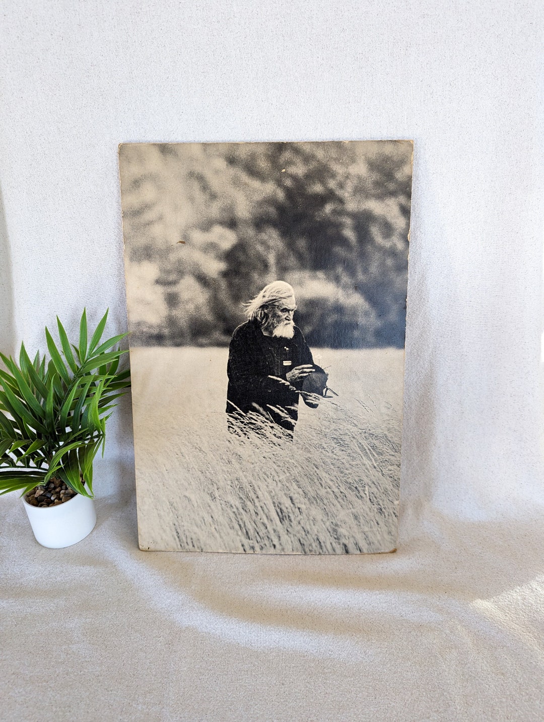 Original 1960's, Studio One Joe Covello Photography Print 353 Old Man ...