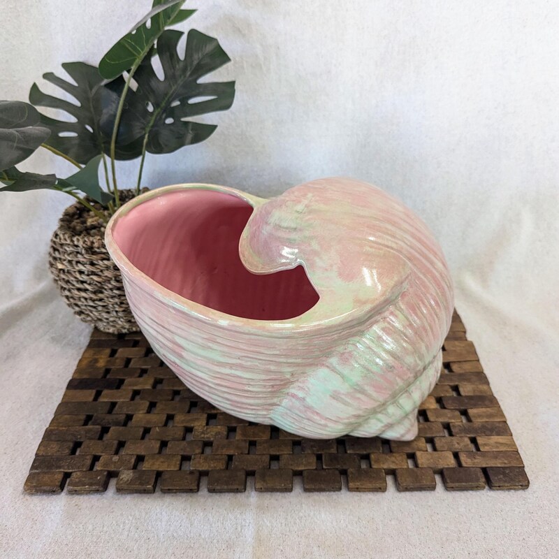 Conch Shell Planter - Etsy